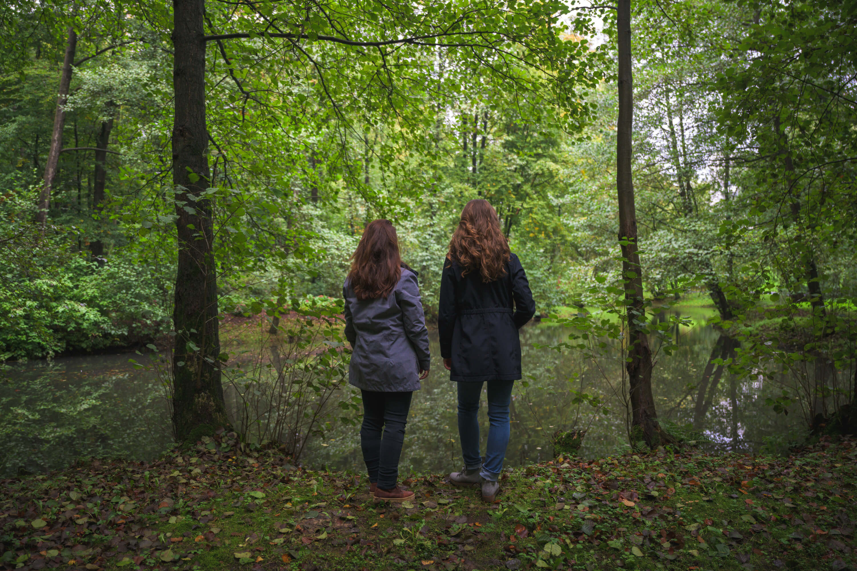 Duik het bos in: Bosbaden in het Osnabrücker Land