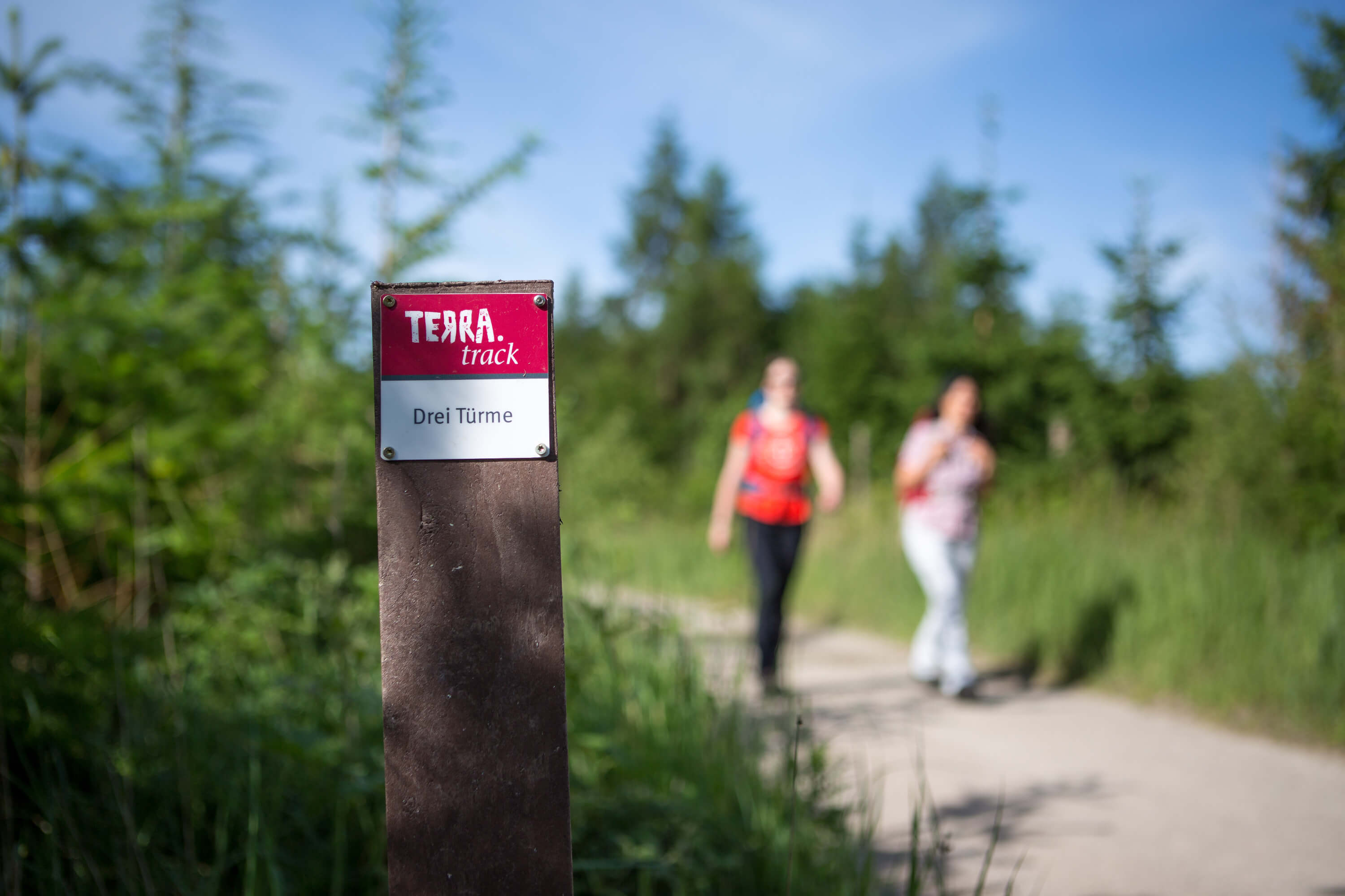 Wandelen op de TERRA.tracks in het Osnabrücker Land